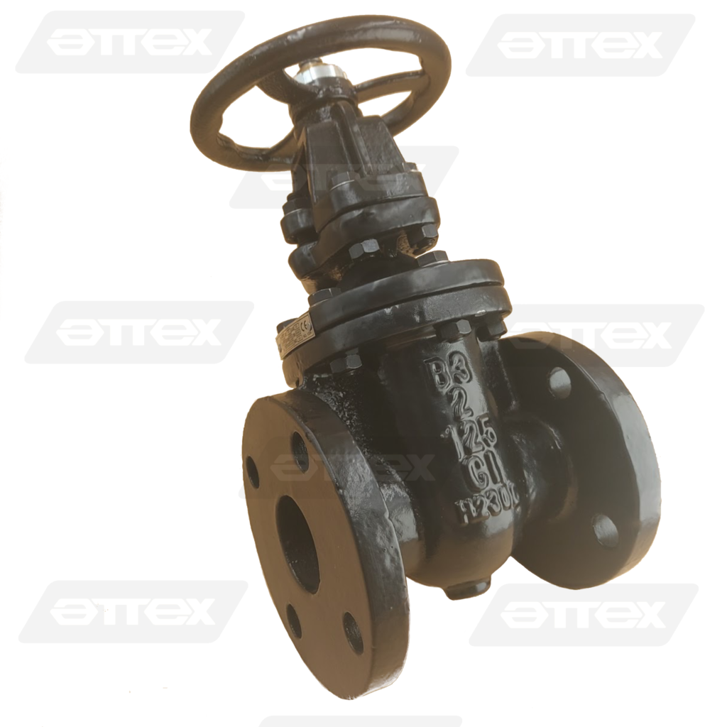 VALVULAS COMPUERTA VASTAGO ASCENDENTE MARCA B3-VALVE ASTM A-126 GR.B ...